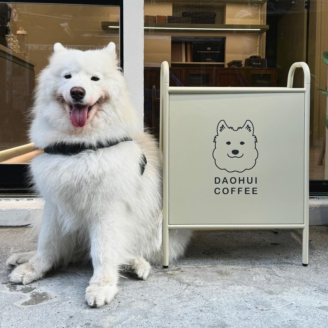 貓派狗派集合！盤點台北5間寵物友善餐廳，軟萌毛孩窩在你身旁！