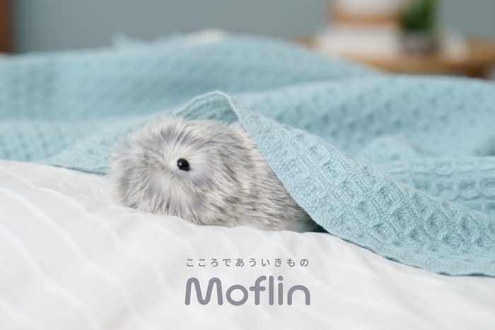 Casio推出AI寵物「Moflin」可以培養感情、表達情緒還會認主人